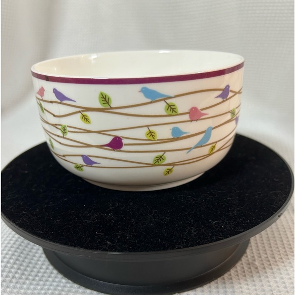 Ciroa | Dining | Ciroa Fine New Bone China Bowl With Multicolor Birds ...